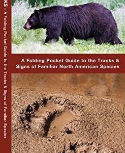 Animal Tracks: A Folding Pocket Guide to the Tracks & Signs of Familiar North American Species (Nature Observation North America)