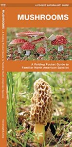 mushrooms: a folding pocket guide to familiar north american species (nature observation north america)