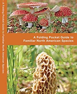 Mushrooms: A Folding Pocket Guide to Familiar North American Species (Nature Observation North America)