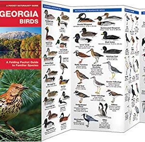 Georgia Birds: A Folding Pocket Guide to Familiar Species (Nature Observation North America)