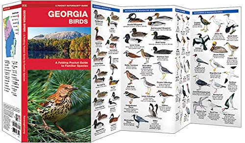 Georgia Birds: A Folding Pocket Guide to Familiar Species (Nature Observation North America)