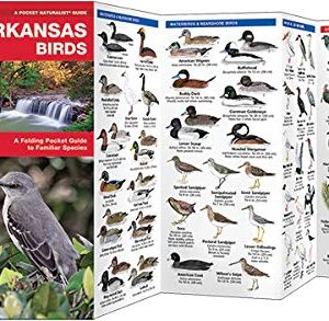 Arkansas Birds: A Folding Pocket Guide to Familiar Species (Nature Observation North America)