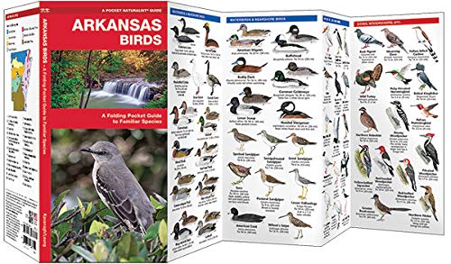 Arkansas Birds: A Folding Pocket Guide to Familiar Species (Nature Observation North America)