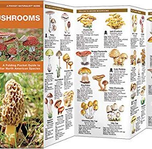 Mushrooms: A Folding Pocket Guide to Familiar North American Species (Nature Observation North America)