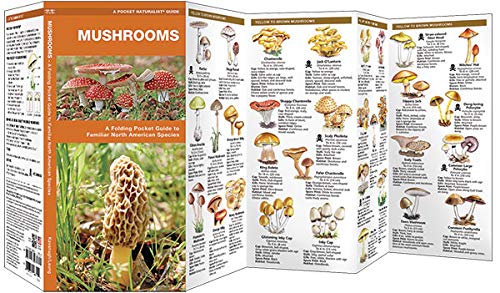 Mushrooms: A Folding Pocket Guide to Familiar North American Species (Nature Observation North America)