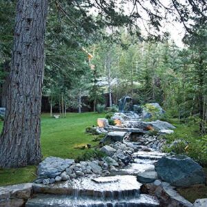 Landscaping with Stone, 2nd Edition: Create Patios, Walkways, Walls, and Other Landscape Features (Creative Homeowner) Over 300 Photos & Illustrations; Learn to Plan, Design, & Work with Natural Stone