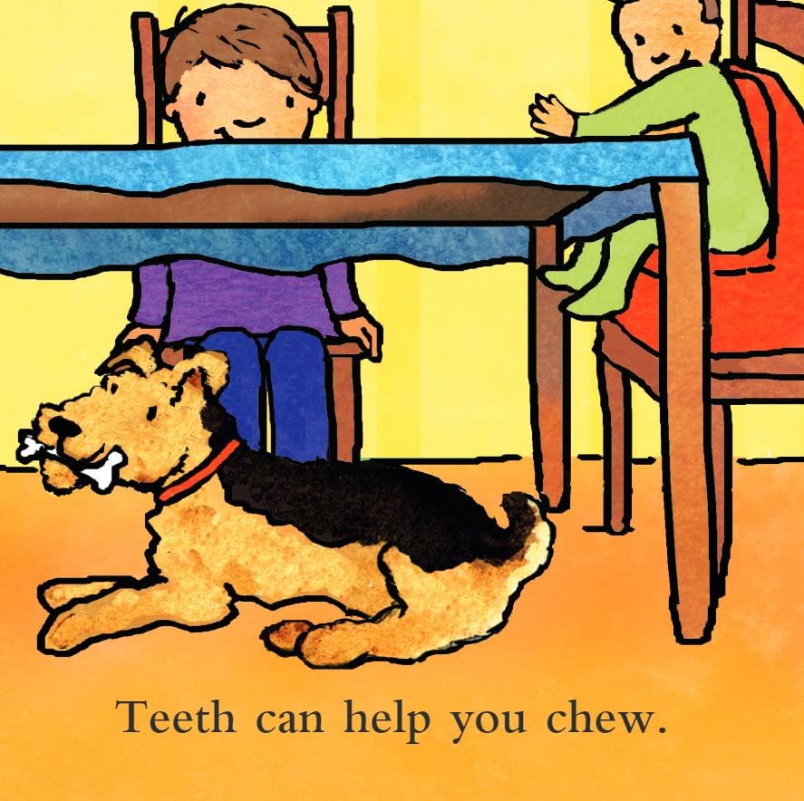 Teeth Are Not for Biting (Board Book) (Best Behavior Series)