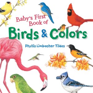 baby's first book of birds & colors