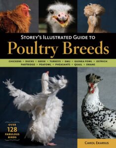 storey's illustrated guide to poultry breeds: chickens, ducks, geese, turkeys, emus, guinea fowl, ostriches, partridges, peafowl, pheasants, quails, swans