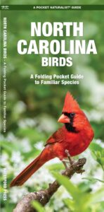 north carolina birds: a folding pocket guide to familiar species (nature observation north america)