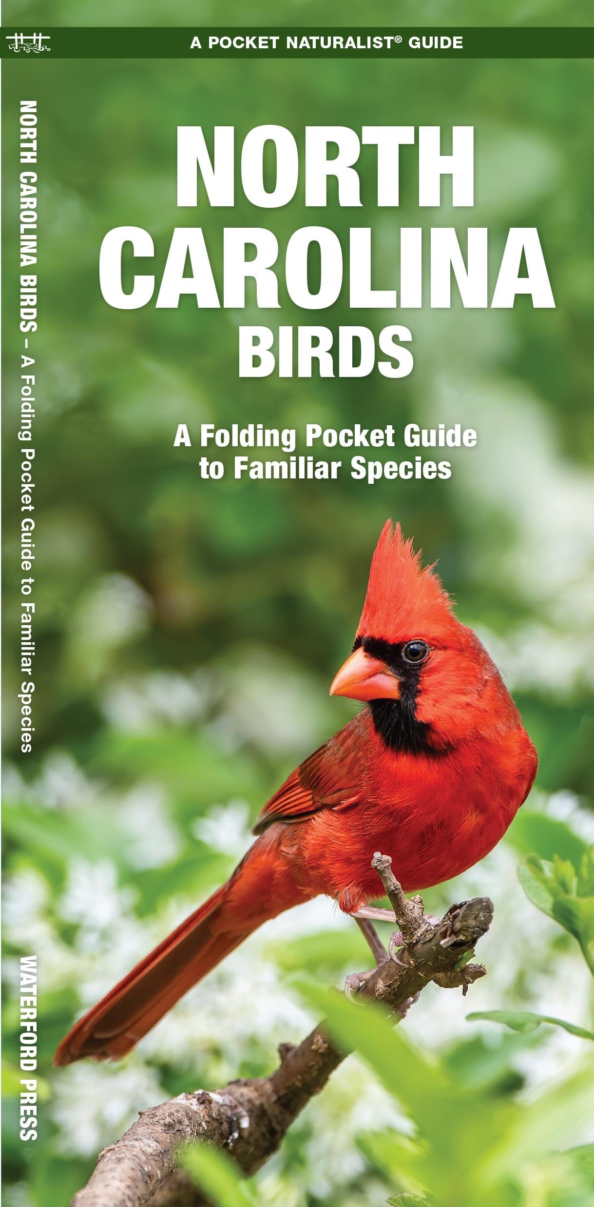 North Carolina Birds: A Folding Pocket Guide to Familiar Species (Nature Observation North America)