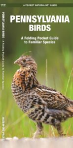 pennsylvania birds: a folding pocket guide to familiar species (nature observation north america)