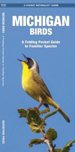 michigan birds: a folding pocket guide to familiar species (nature observation north america)