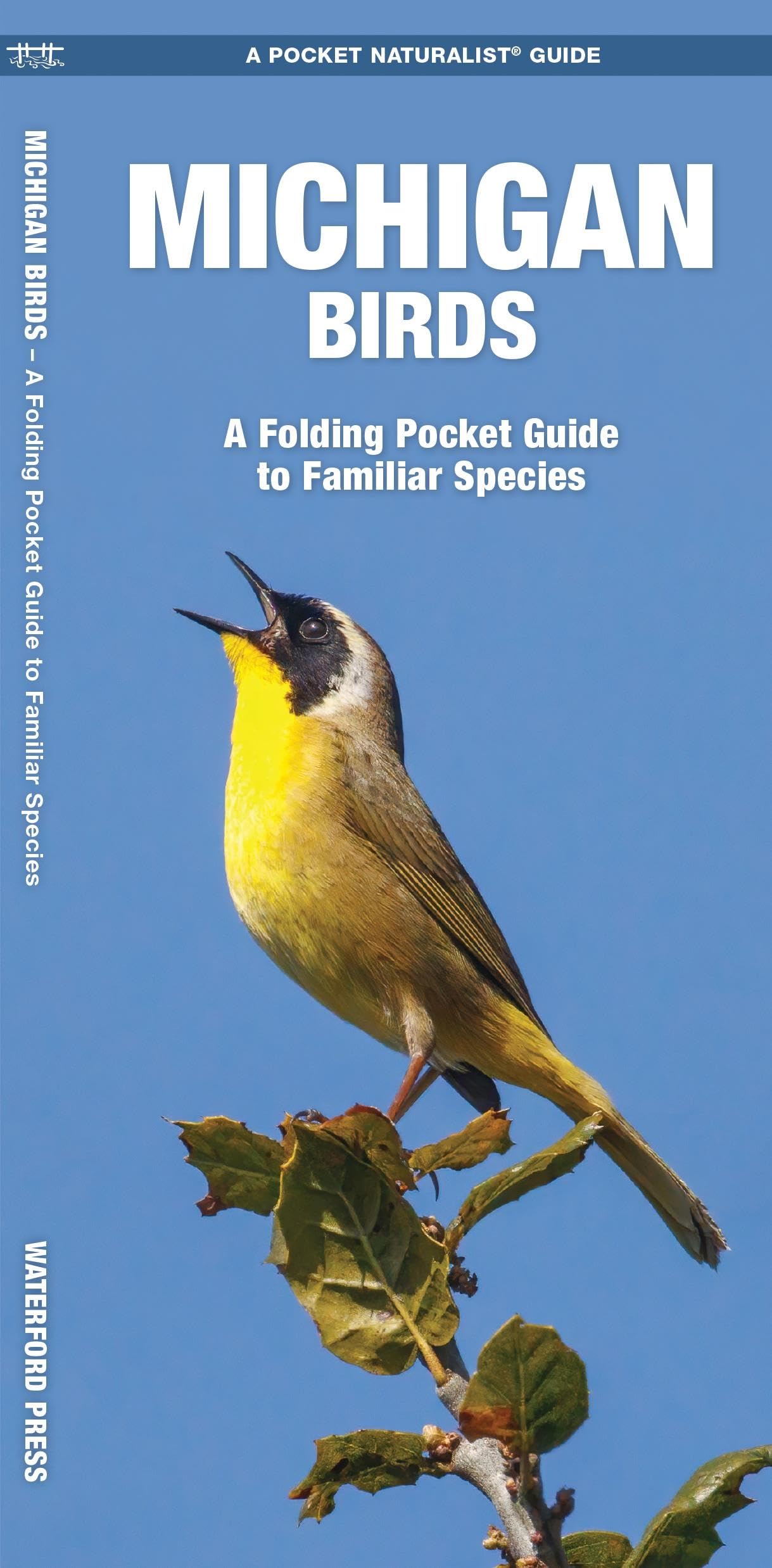 Michigan Birds: A Folding Pocket Guide to Familiar Species (Nature Observation North America)