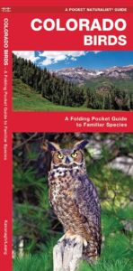 colorado birds: a folding pocket guide to familiar species (nature observation north america)