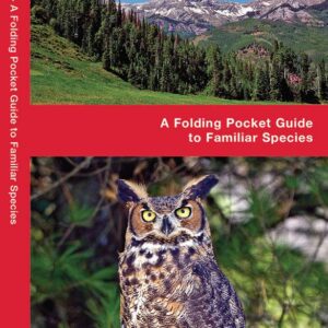 Colorado Birds: A Folding Pocket Guide to Familiar Species (Nature Observation North America)