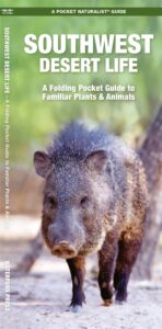 southwest desert life: a folding pocket guide to familiar plants & animals (nature observation north america)