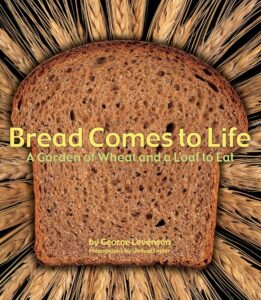 bread comes to life: a garden of wheat and a loaf to eat