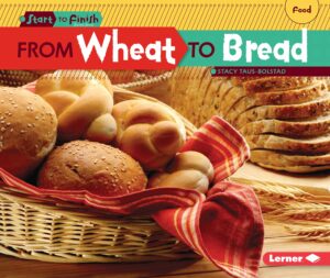 from wheat to bread (start to finish, second series)