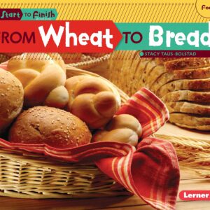 From Wheat to Bread (Start to Finish, Second Series)