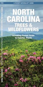 north carolina trees & wildflowers: a folding pocket guide to familiar plants (nature observation north america)