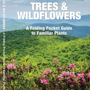 North Carolina Trees & Wildflowers: A Folding Pocket Guide to Familiar Plants (Nature Observation North America)