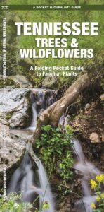 tennessee trees & wildflowers: a folding pocket guide to familiar plants (nature observation north america)