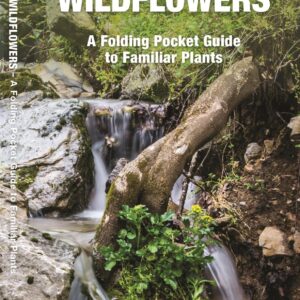 Tennessee Trees & Wildflowers: A Folding Pocket Guide to Familiar Plants (Nature Observation North America)