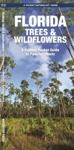 florida trees & wildflowers: a folding pocket guide to familiar plants (nature observation north america)