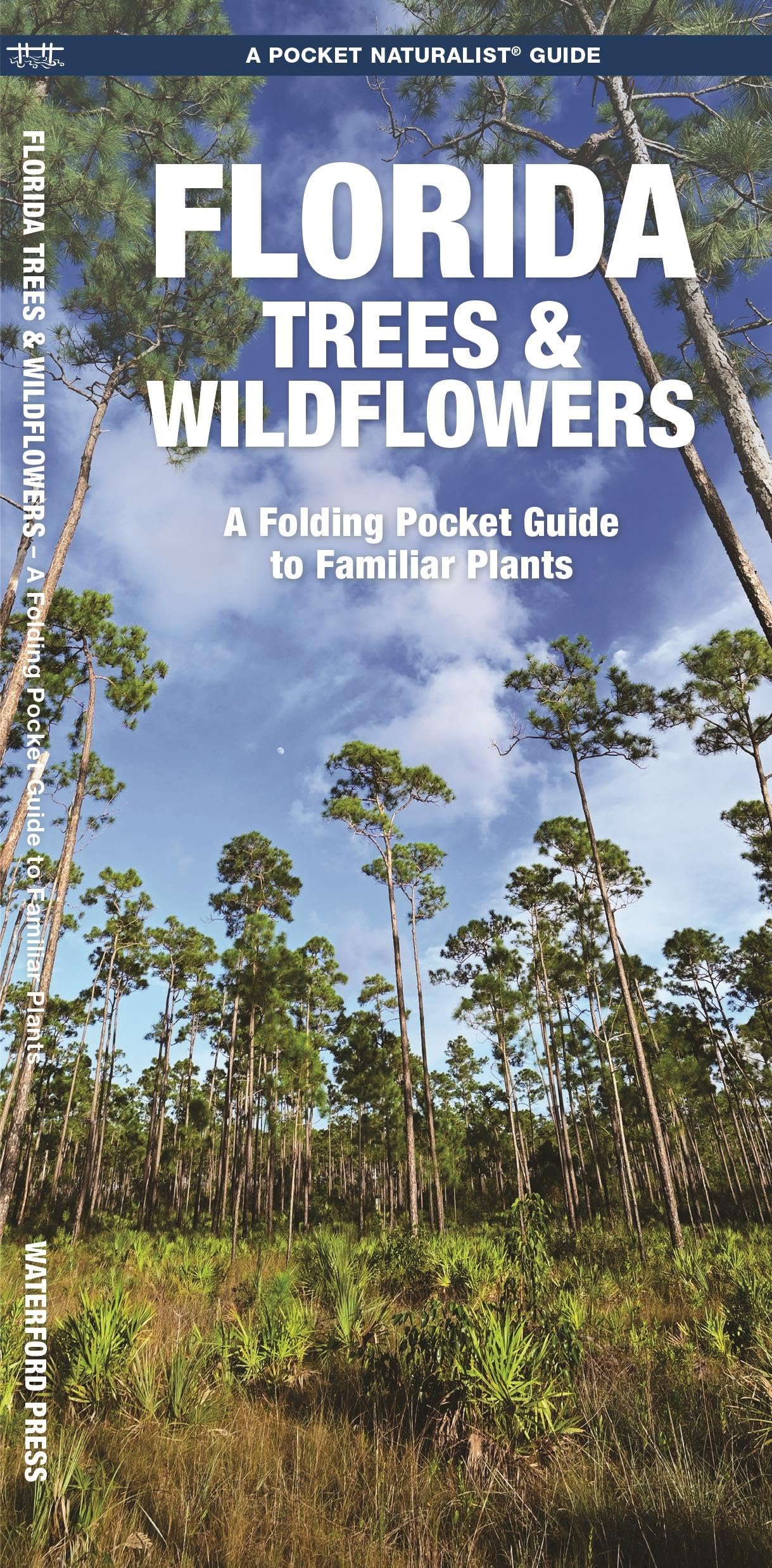 Florida Trees & Wildflowers: A Folding Pocket Guide to Familiar Plants (Nature Observation North America)