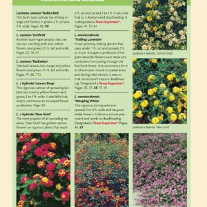 Texas Home Landscaping, 3rd Edition: 48 Landscape Designs, 200+ Plants & Flowers Best Suited to the Region (Creative Homeowner) Gardening Ideas, Plans, and Outdoor DIY Projects for TX and OK