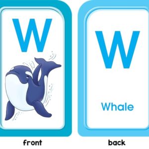 School Zone - Alphabet Match Flash Cards - Ages 4 and Up, Preschool to Kindergarten, ABC's, Letters, Matching, Beginning Sounds, Letter-Picture Recognition, and More