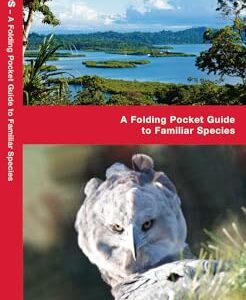 Panama Birds: A Folding Pocket Guide to Familiar Species (Nature Observation International)