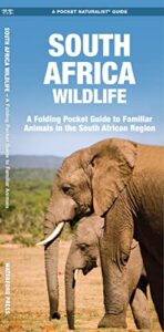 south africa wildlife: a folding pocket guide to familiar animals in the south african region (nature observation international)