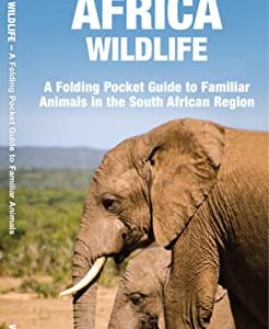 South Africa Wildlife: A Folding Pocket Guide to Familiar Animals in the South African Region (Nature Observation International)