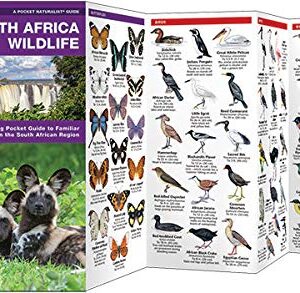 South Africa Wildlife: A Folding Pocket Guide to Familiar Animals in the South African Region (Nature Observation International)