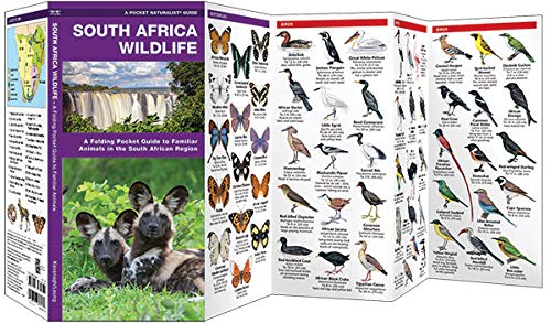 South Africa Wildlife: A Folding Pocket Guide to Familiar Animals in the South African Region (Nature Observation International)