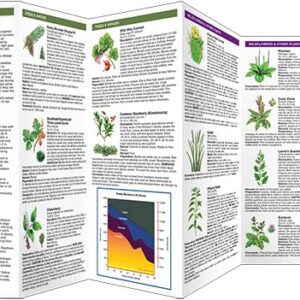 Edible Survival Plants of the Rocky Mountains: A Folding Pocket Guide to Familiar Species (Outdoor Recreation and Survival)