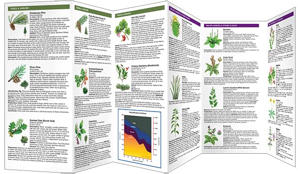 Edible Survival Plants of the Rocky Mountains: A Folding Pocket Guide to Familiar Species (Outdoor Recreation and Survival)