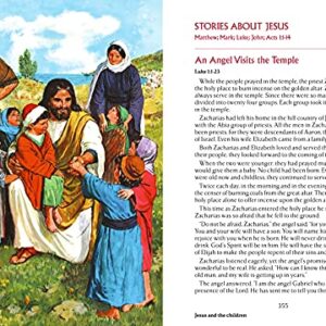 Egermeier's Bible Story Book (hardback)