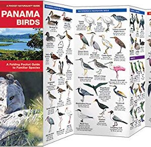 Panama Birds: A Folding Pocket Guide to Familiar Species (Nature Observation International)