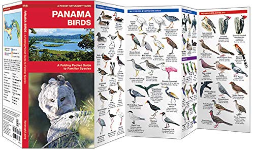 Panama Birds: A Folding Pocket Guide to Familiar Species (Nature Observation International)