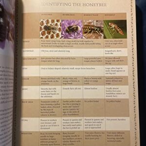 The Beekeeper's Bible: Bees, Honey, Recipes & Other Home Uses