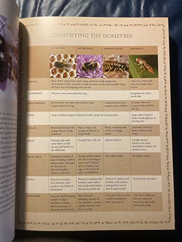 The Beekeeper's Bible: Bees, Honey, Recipes & Other Home Uses