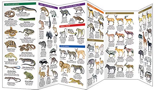 South Africa Wildlife: A Folding Pocket Guide to Familiar Animals in the South African Region (Nature Observation International)