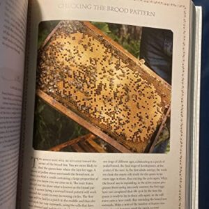 The Beekeeper's Bible: Bees, Honey, Recipes & Other Home Uses