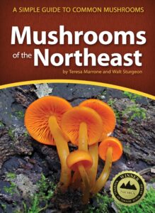 mushrooms of the northeast: a simple guide to common mushrooms (mushroom guides)