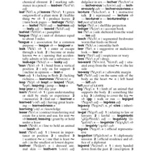 Webster's American English Dictionary, New Edition