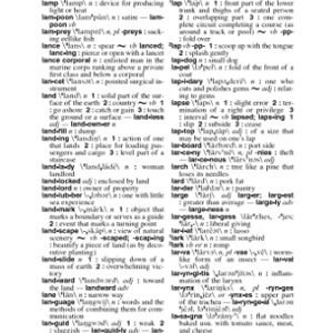 Webster's American English Dictionary, New Edition