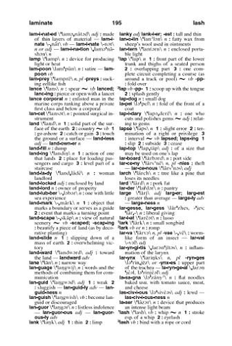 Webster's American English Dictionary, New Edition